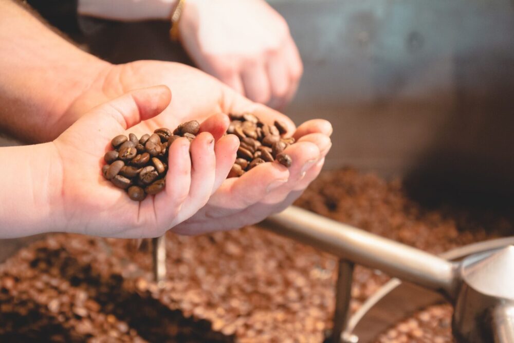 Itinéraire - Les producteurs de la Côte-de-Beaupré - Côte-de-Beaupré ...