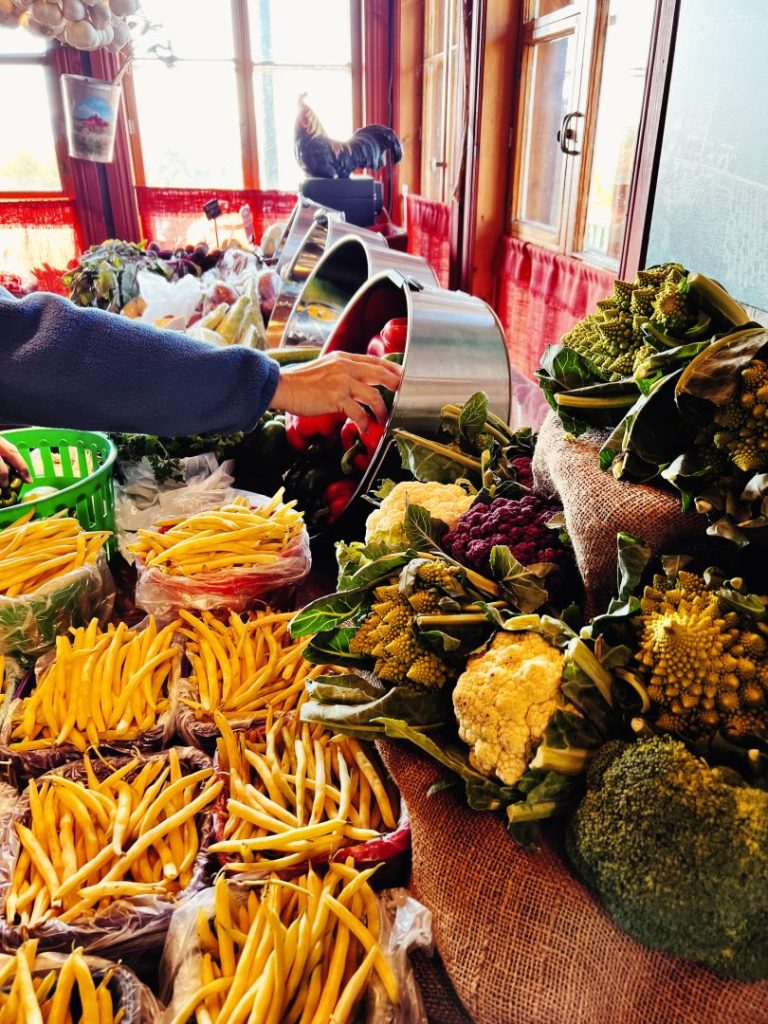 Family Fun on the Côte-de-Beaupré — What to Do on Your Vacation! - Côte ...